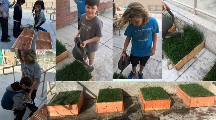 2016 H2O challenge - Cal Water